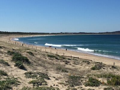 Wanda Beach | Cronulla Life